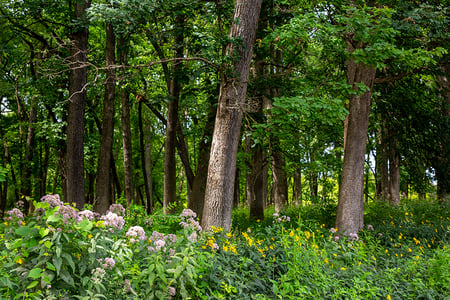 Homepage | Forest Preserve District of DuPage County