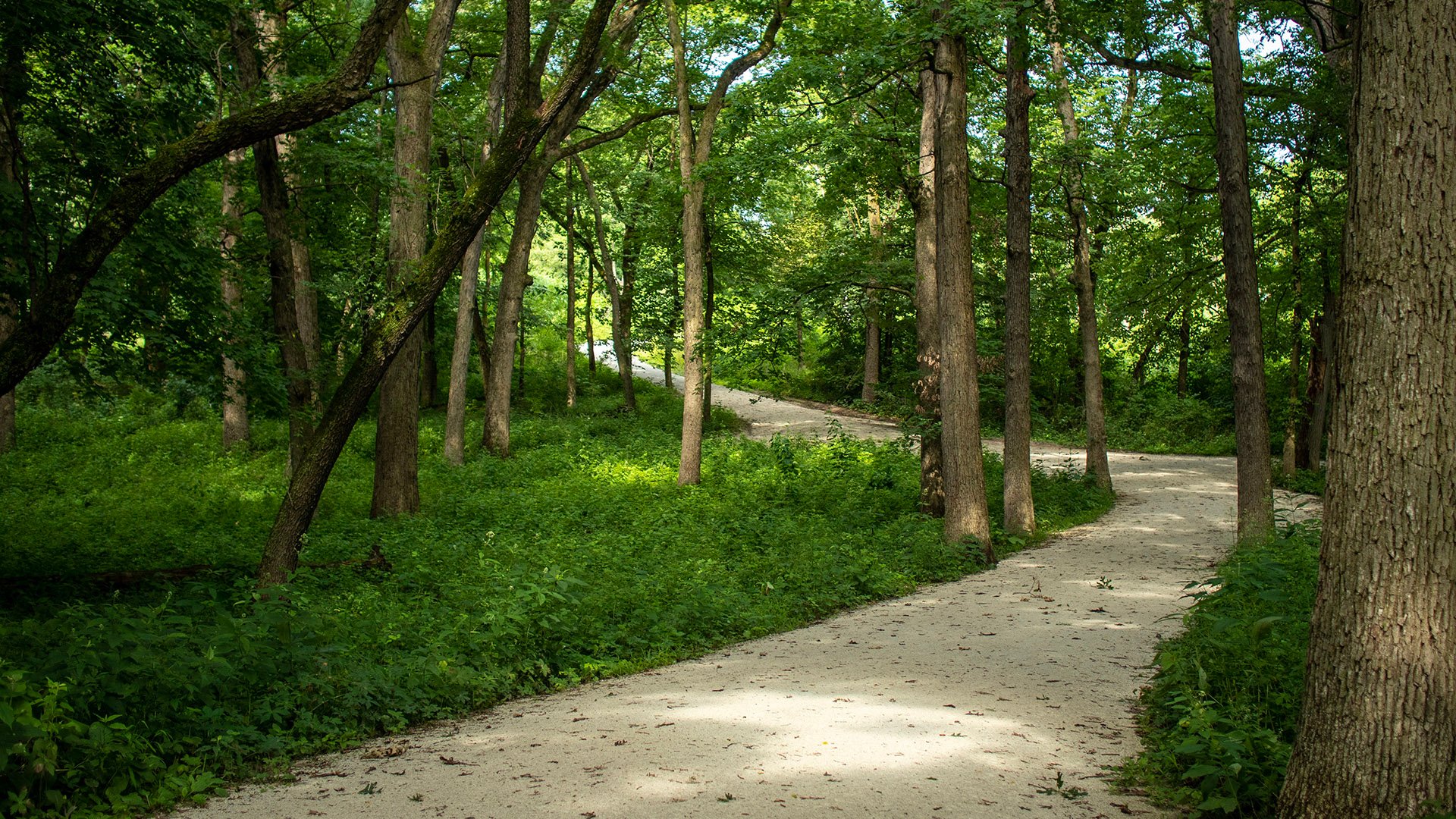 Recreational Activities