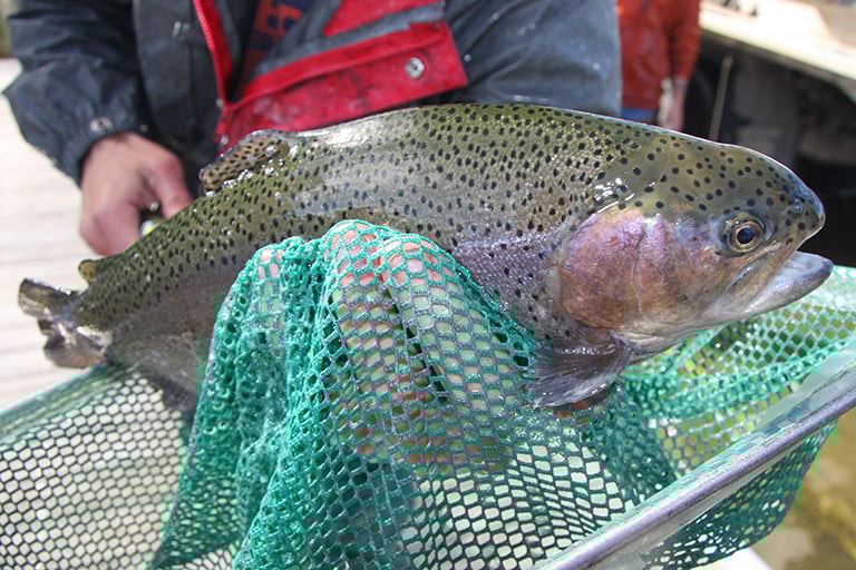 Forest Preserve District of DuPage County Original