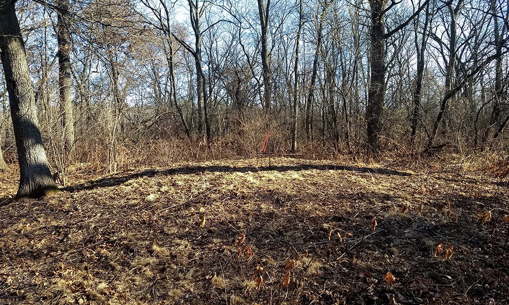 The Hidden History of Winfield Mounds