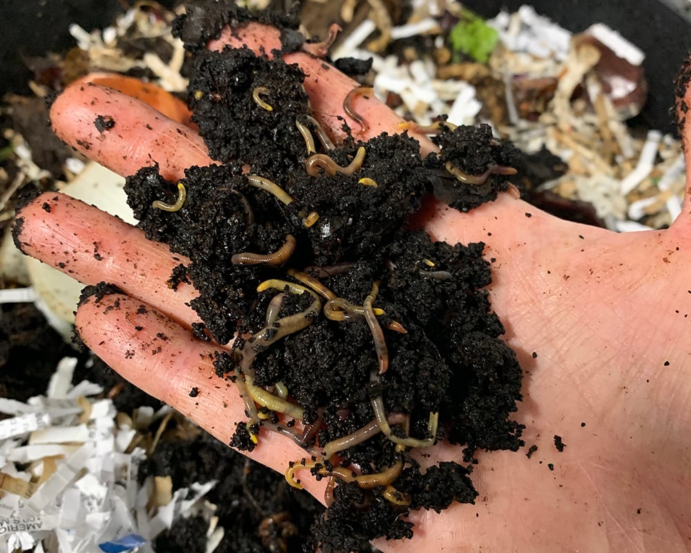 6 Easy Tips for Successful Composting
