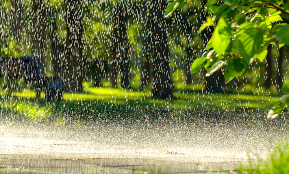 Walking in the Rain
