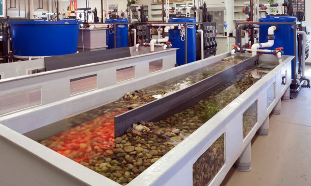 News Releases-Take Exclusive Tour of Districts Urban Stream Research Center