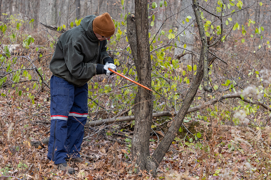 Homepage | Forest Preserve District of DuPage County