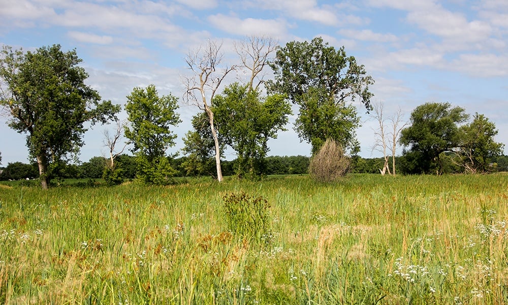 Places to Go-Forest Preserves-Dunham