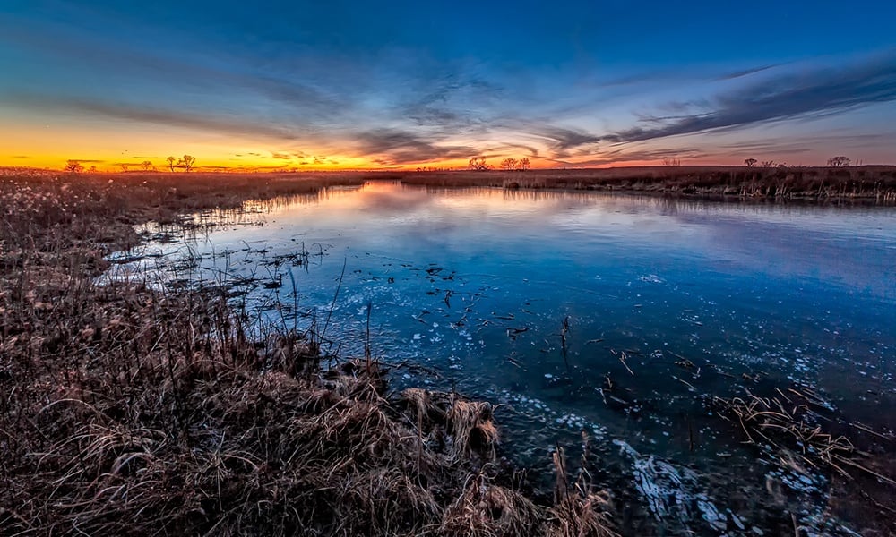 Places to Go-Forest Preserves-Springbrook Prairie